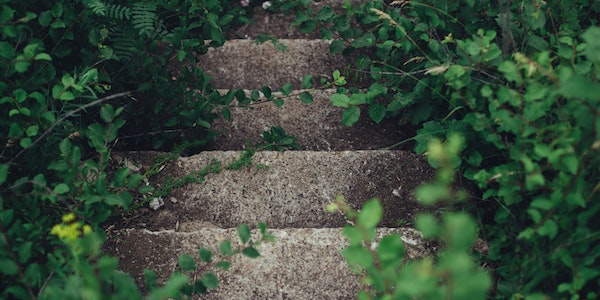 How To Perform Basic Ml Scoring With Scikit Learn Docker Kubernetes